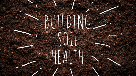 How Do You Build Soil Health